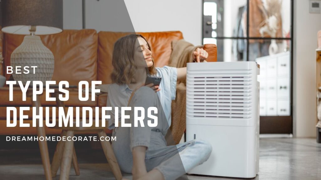 5 Best Types Of Dehumidifiers